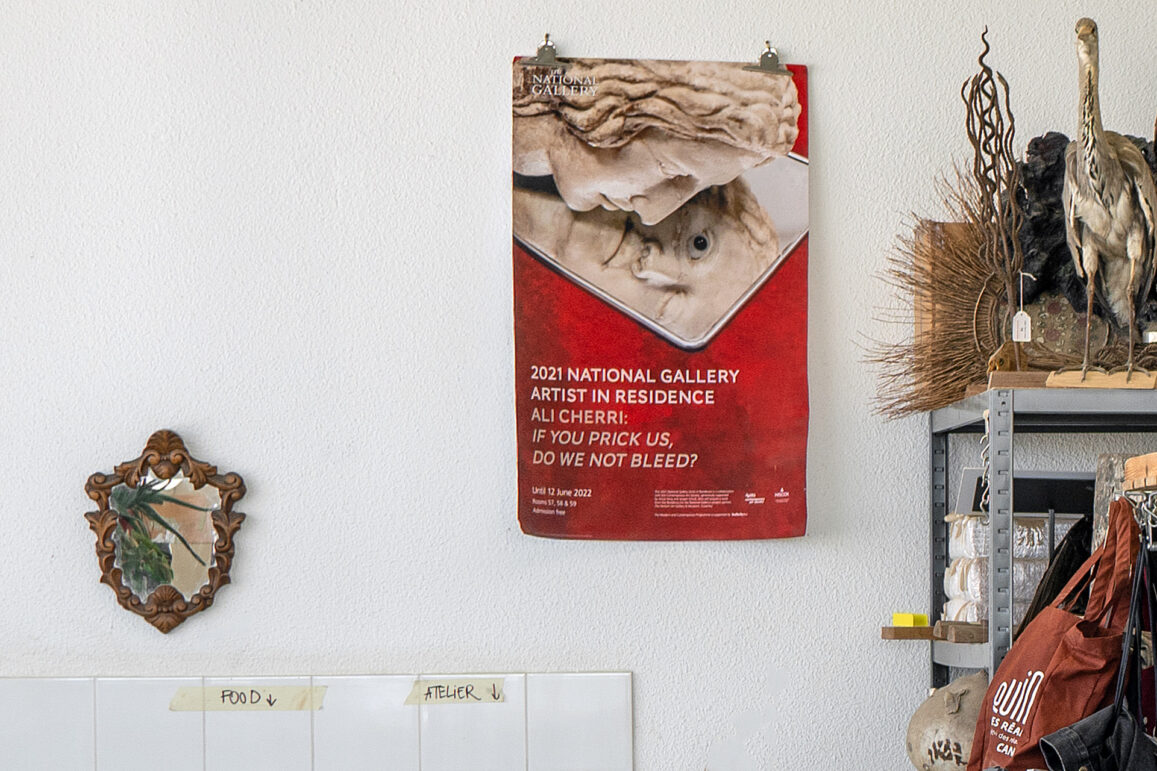 Ali Cherri - Alexia interviews influential people in the arts | ARTFLYER